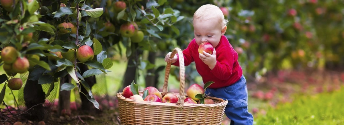 Farm School – We grow kids. Kids grow food.