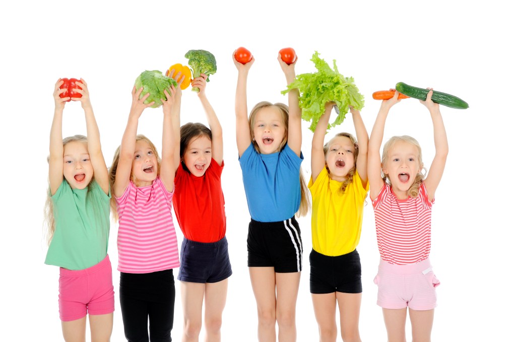 Contact – Farm School